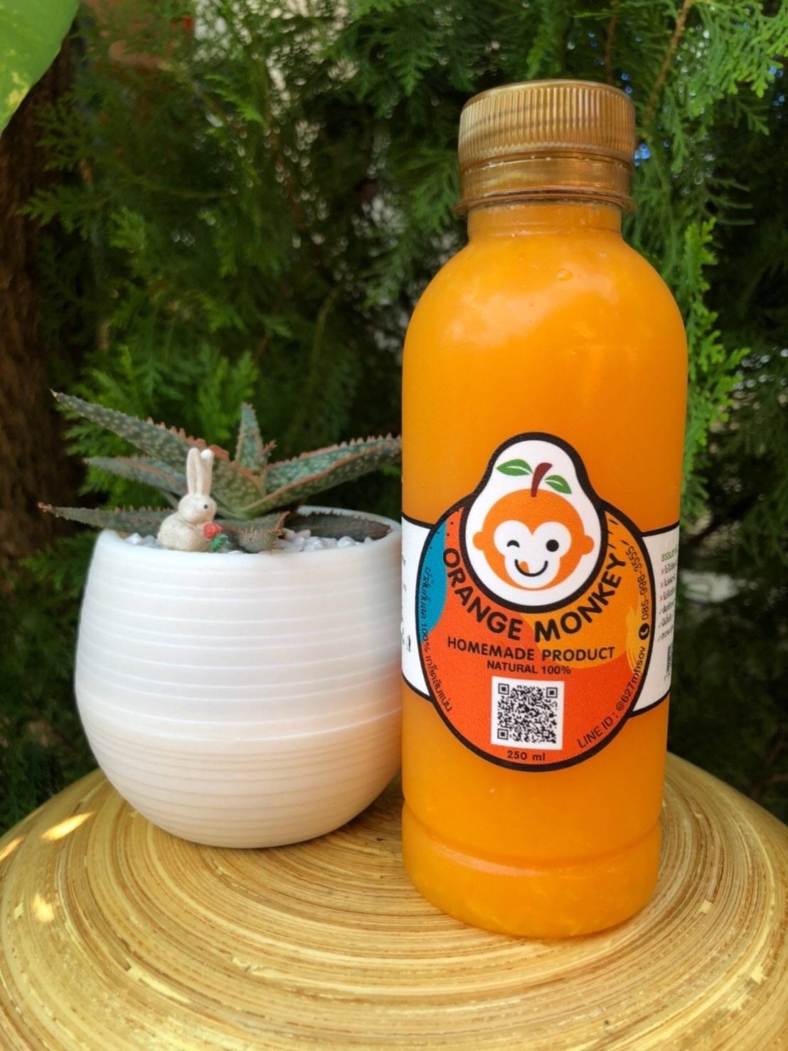 Orange Monkey น้ำส้มคั้นสด - สั่งอาหารเดลิเวอรี | Wongnai x LINE MAN