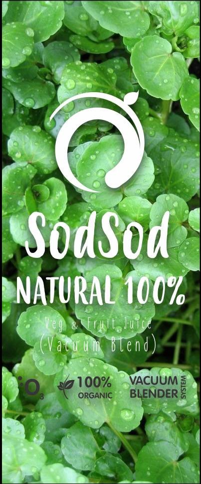 ร้าน SodSod (Veg & Fruit Juice) สดสด น้ำผักผลไม้อินทรีย์ปั่น | รีวิว ...