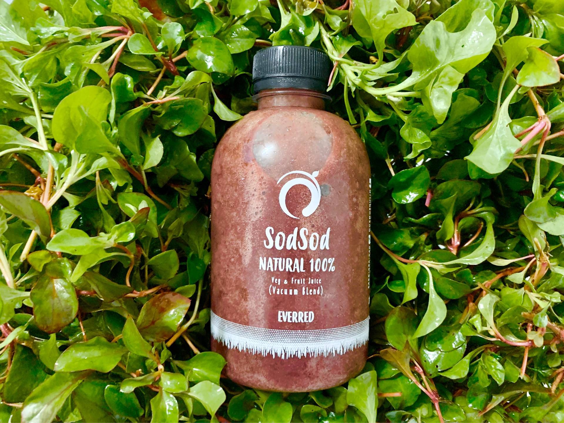 รูป SodSod (Veg & Fruit Juice) สดสด น้ำผักผลไม้อินทรีย์ปั่น