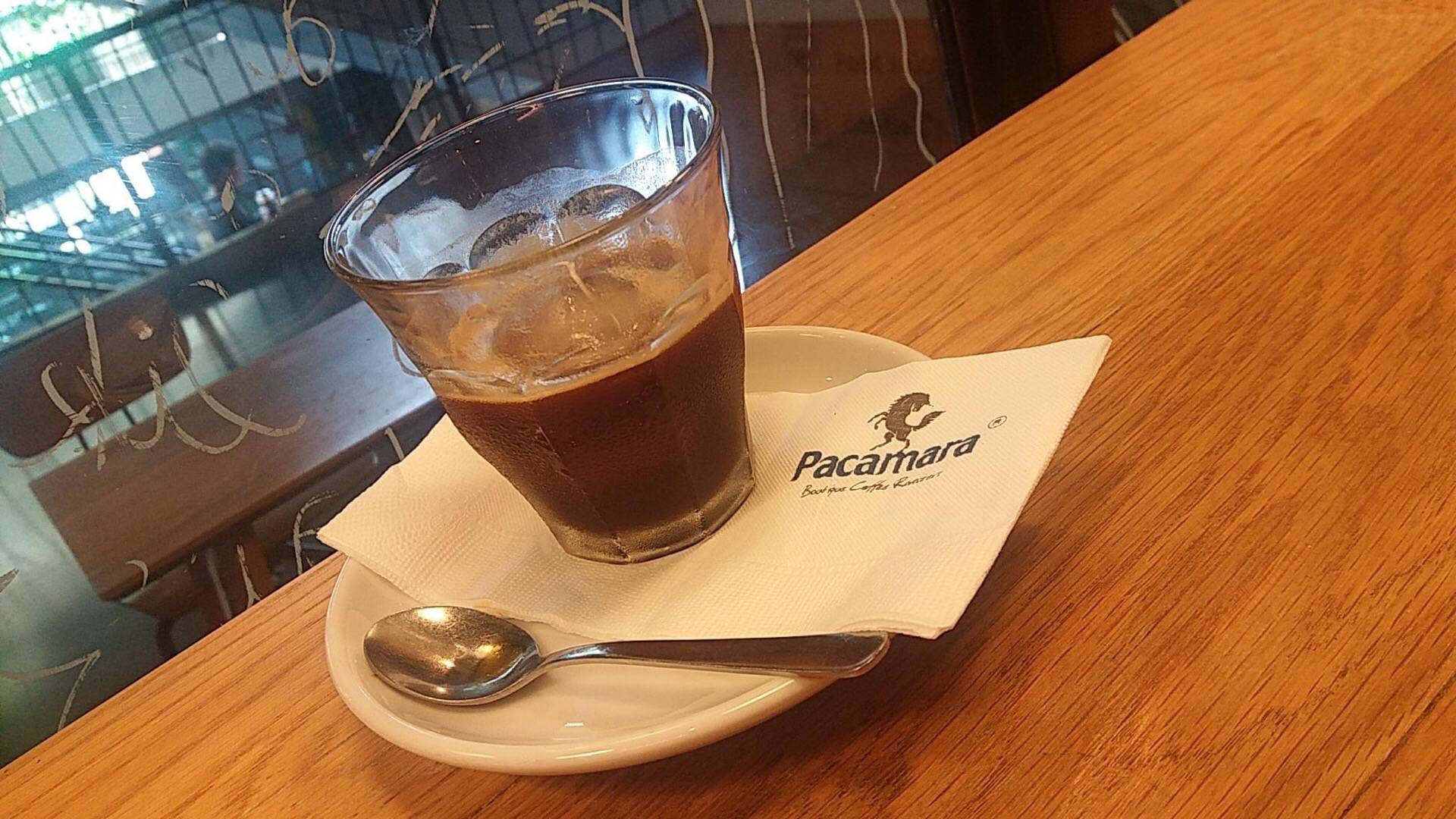 รีวิว PACAMARA Rain Hill - Pacamara ชื่อนี้กาแฟอร่อย - Wongnai