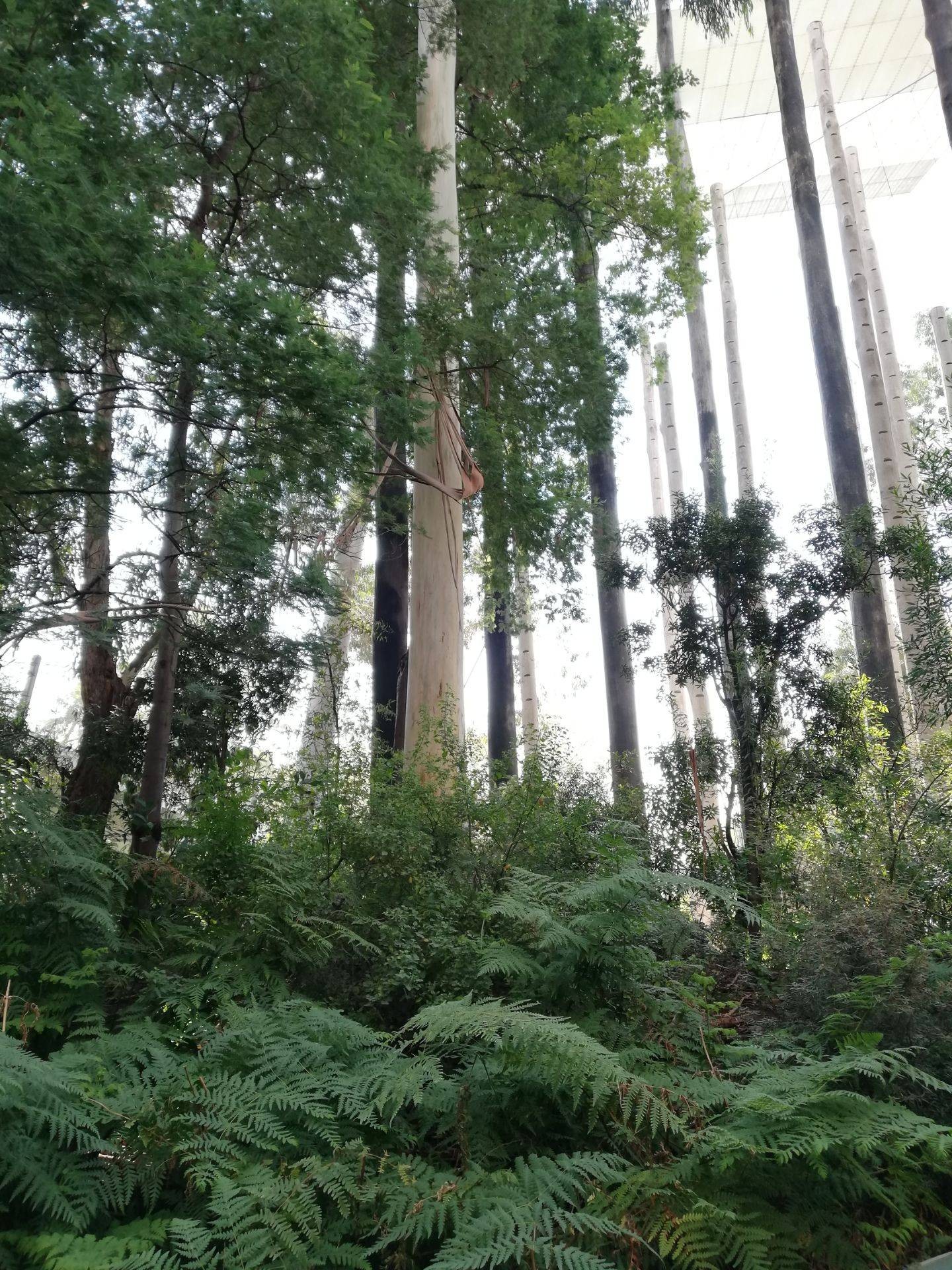 รูป Melbourne Museum