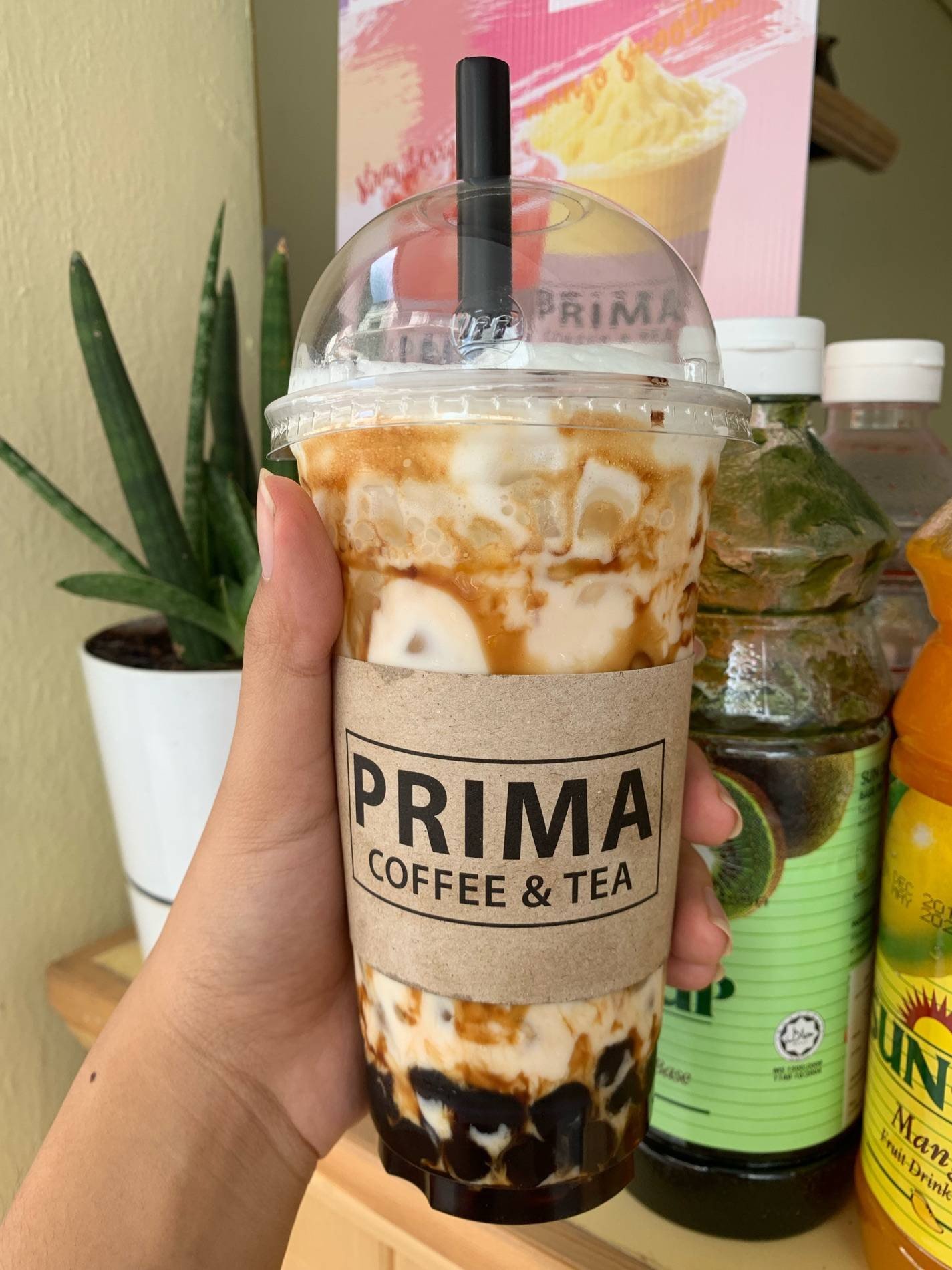 ร้าน Prima coffee&tea | รีวิวร้านอาหาร