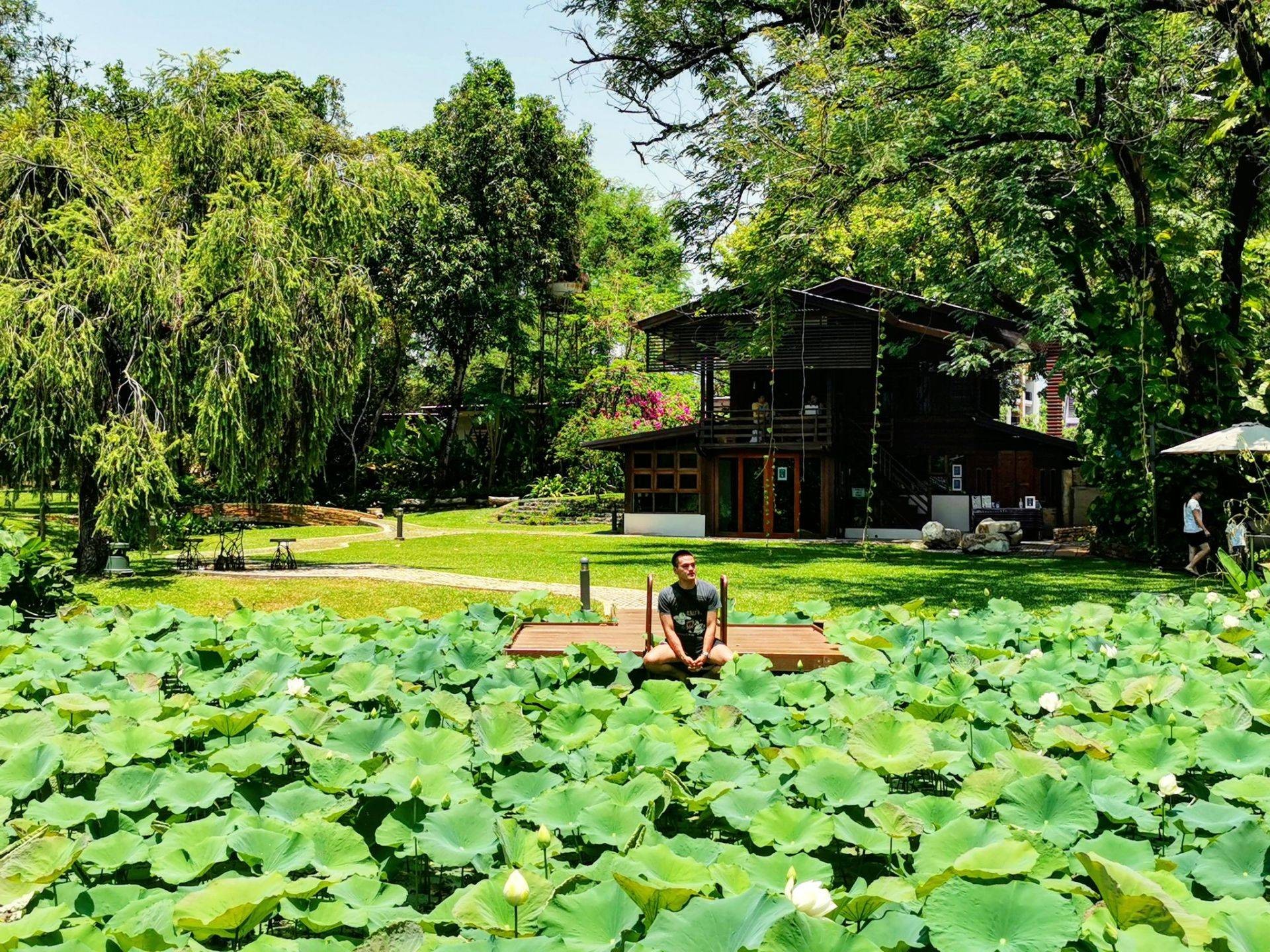 รีวิว Early Owls - ร้าน Early Owls ร้านกาแฟ กลางเมืองเชียงใหม่ ที่มี ...