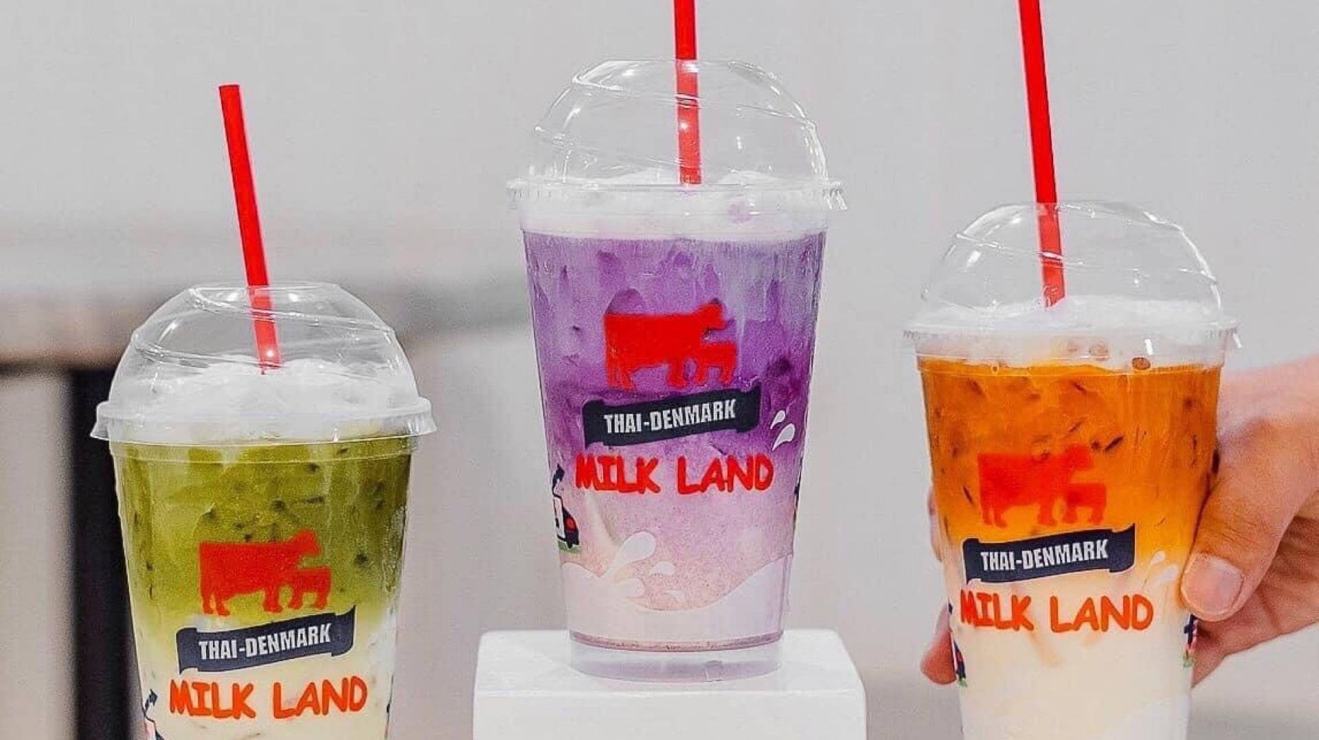 [รีวิว] ร้าน Thai - Denmark MILK LAND มิลค์แลนด์ ไทย-เดนมาร์ค เมเจอร์ ...