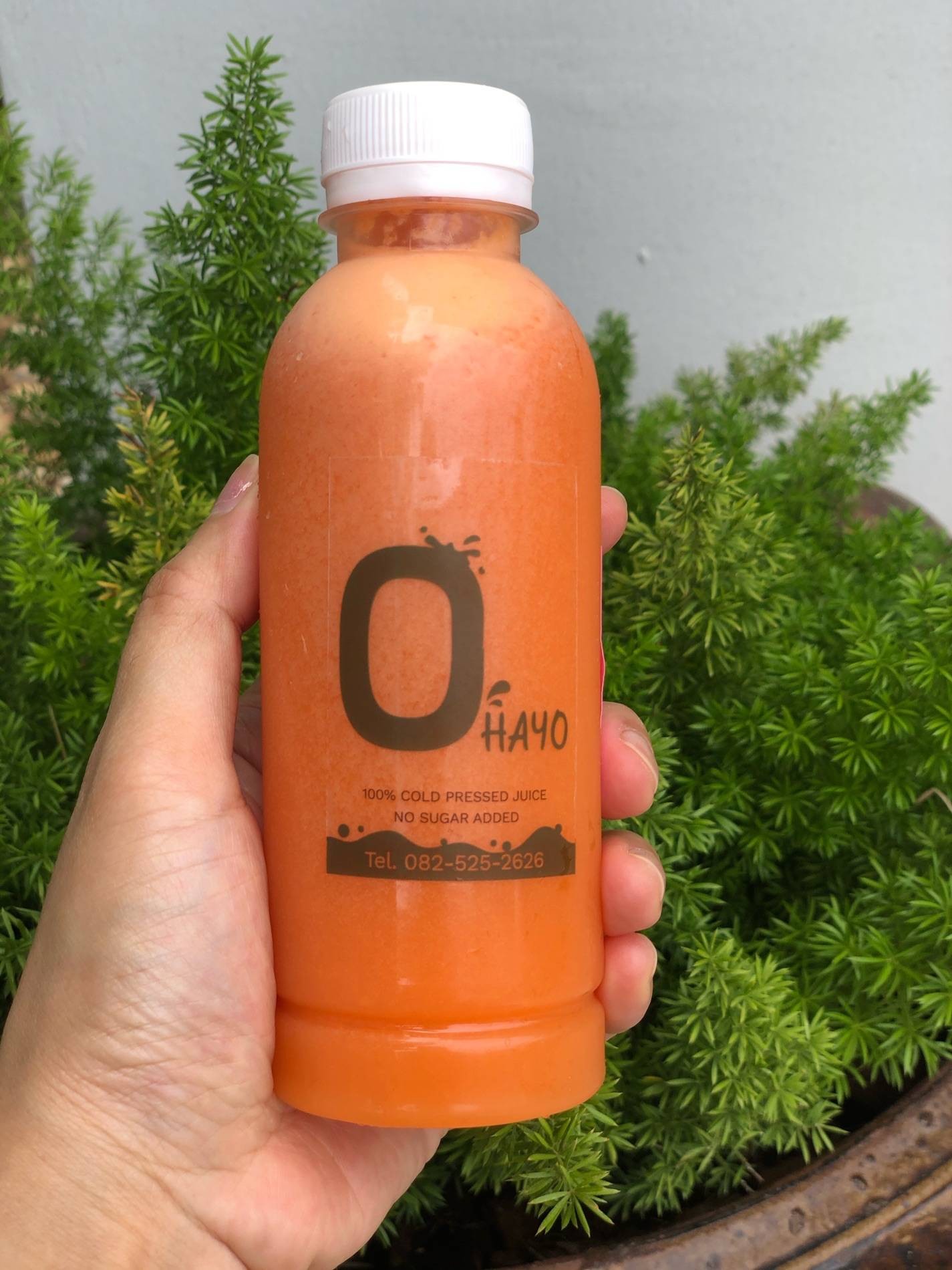 รูป Ohayo cold pressed juice น้ำผลไม้สกัดเย็น100%