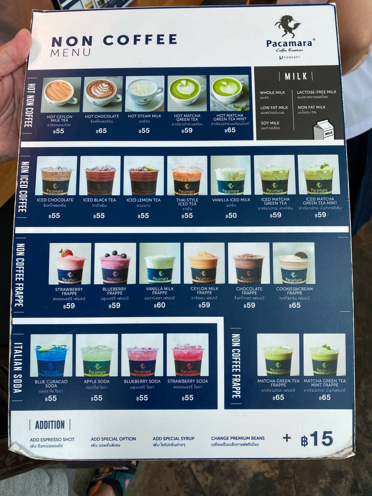 รูป PACAMARA หอสมุดคณะแพทยศาสตร์ จุฬาลงกรณ์มหาวิทยาลัย