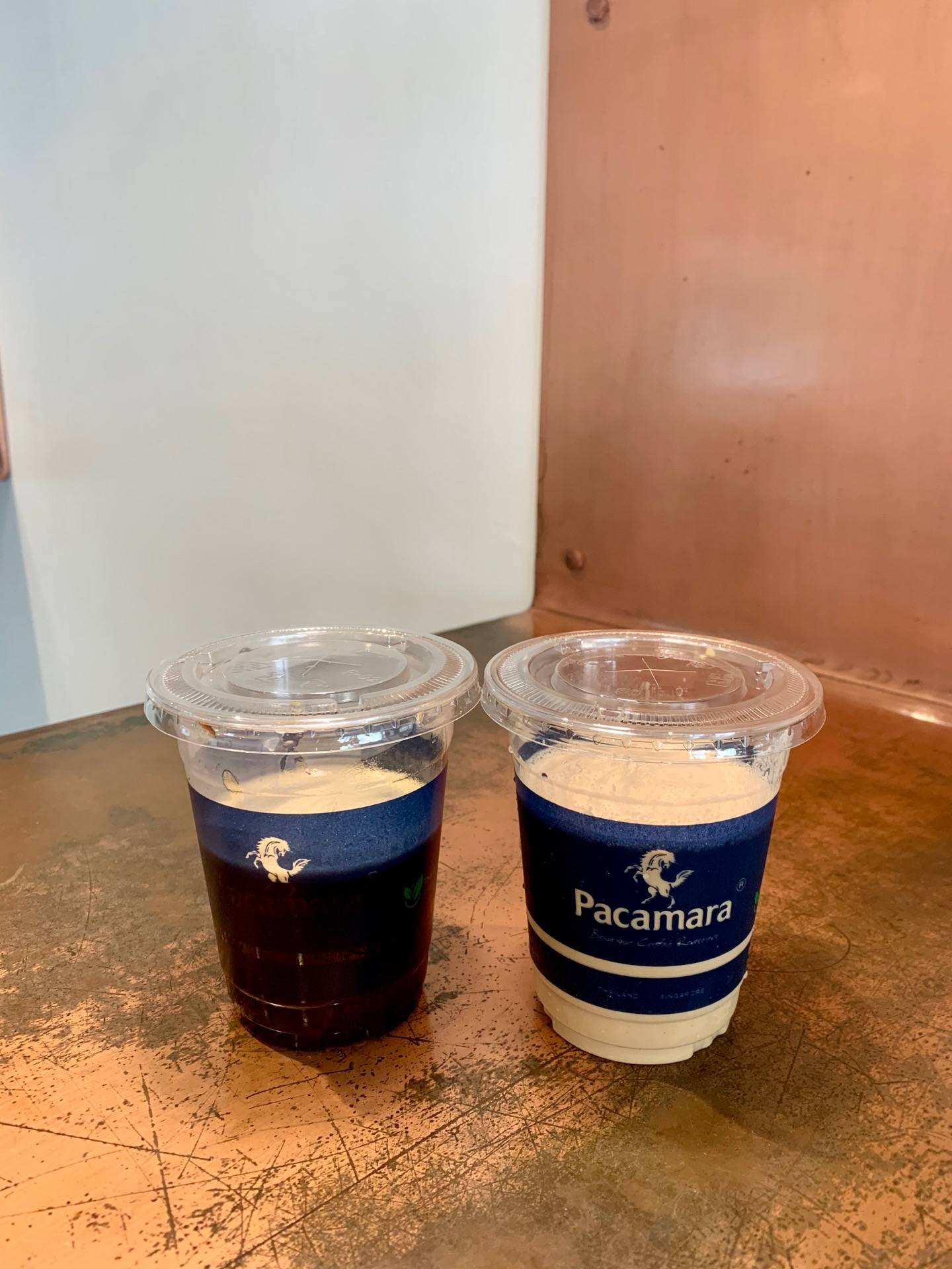 รีวิว PACAMARA Thonglor 25 - ร้านกาแฟดังจากเชียงใหม่ 💙