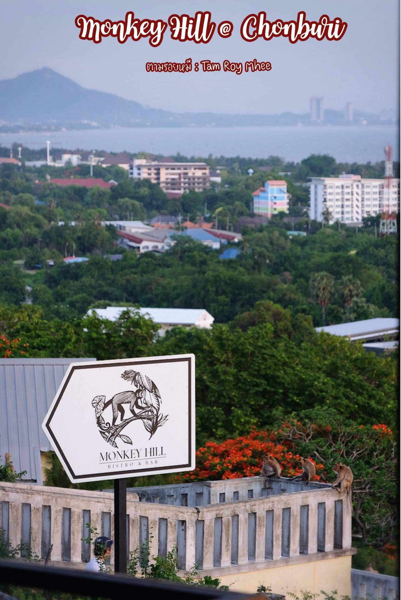 รูป Monkey Hill Bistro & Bar Khao Sam Muk