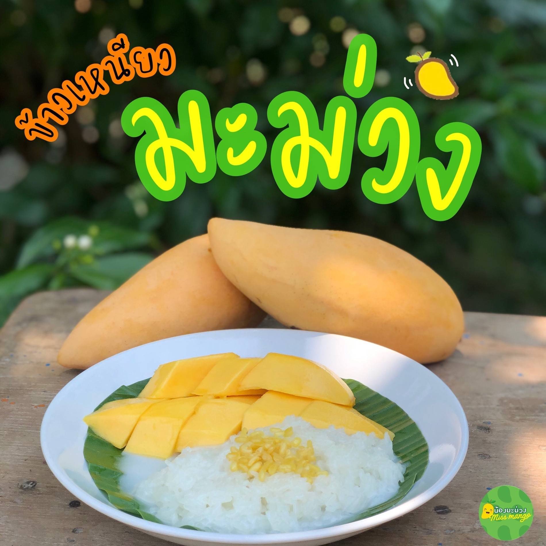 รีวิว น้องมะม่วง - Miss Mango สันติธรรม - อร่อย รสชาติดี หาทานยากมาก