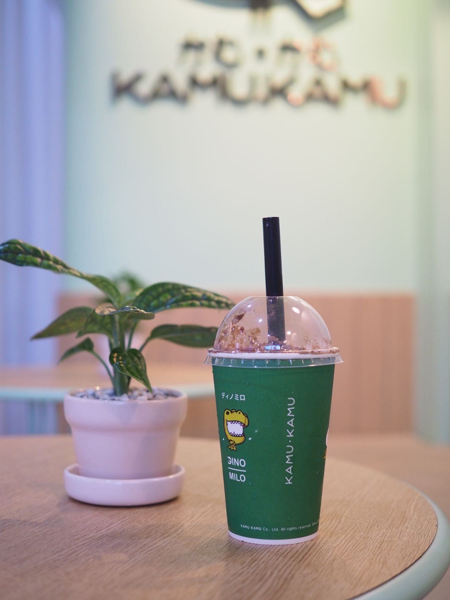 ไดโน ไมโล ร้าน Kamu Tea บ่อยาง สงขลา - Wongnai