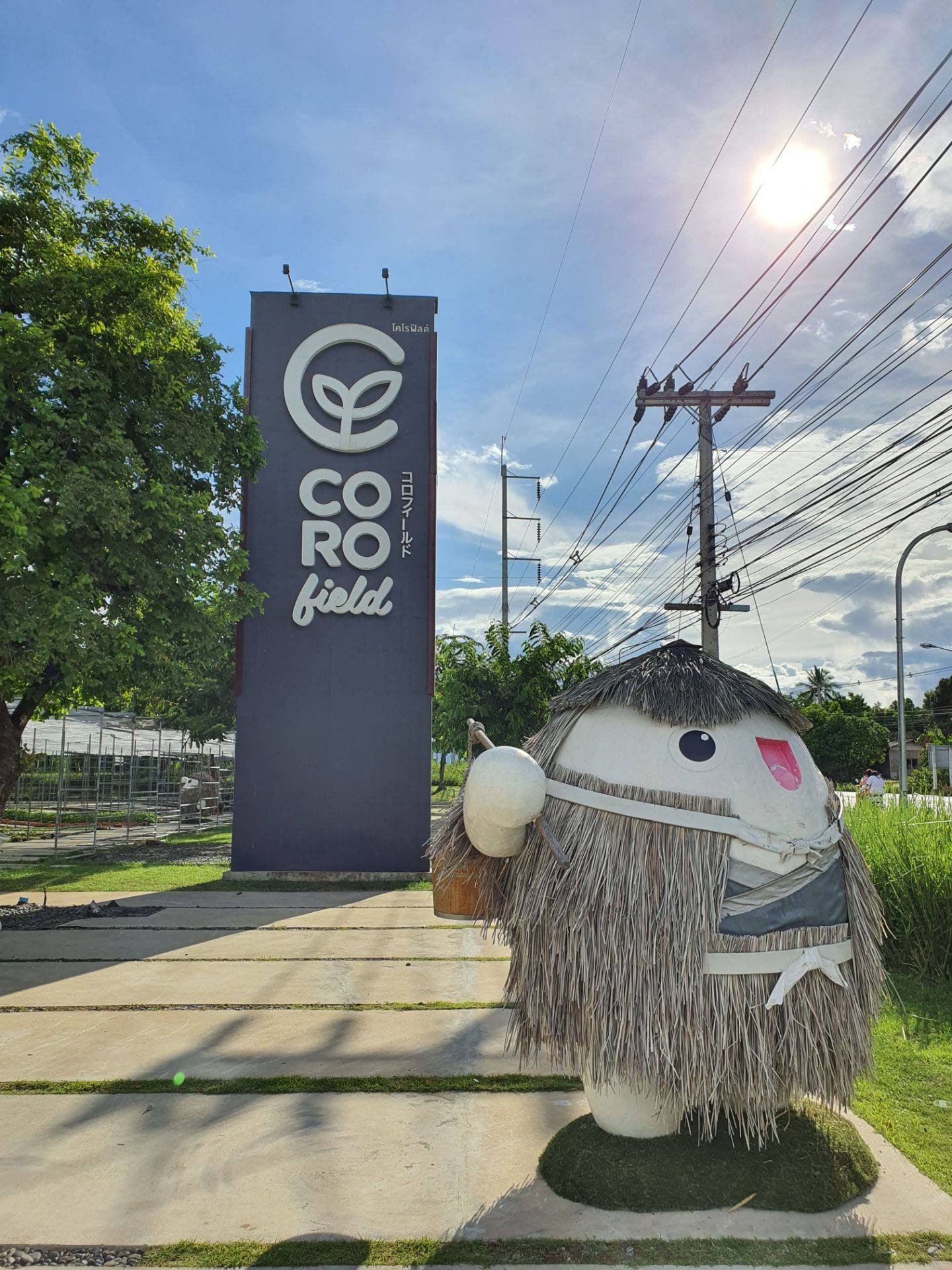 รีวิว CORO FIELD - Coro Field สวนผึ้ง เปิดตามปกติแล้วจ้า - Wongnai