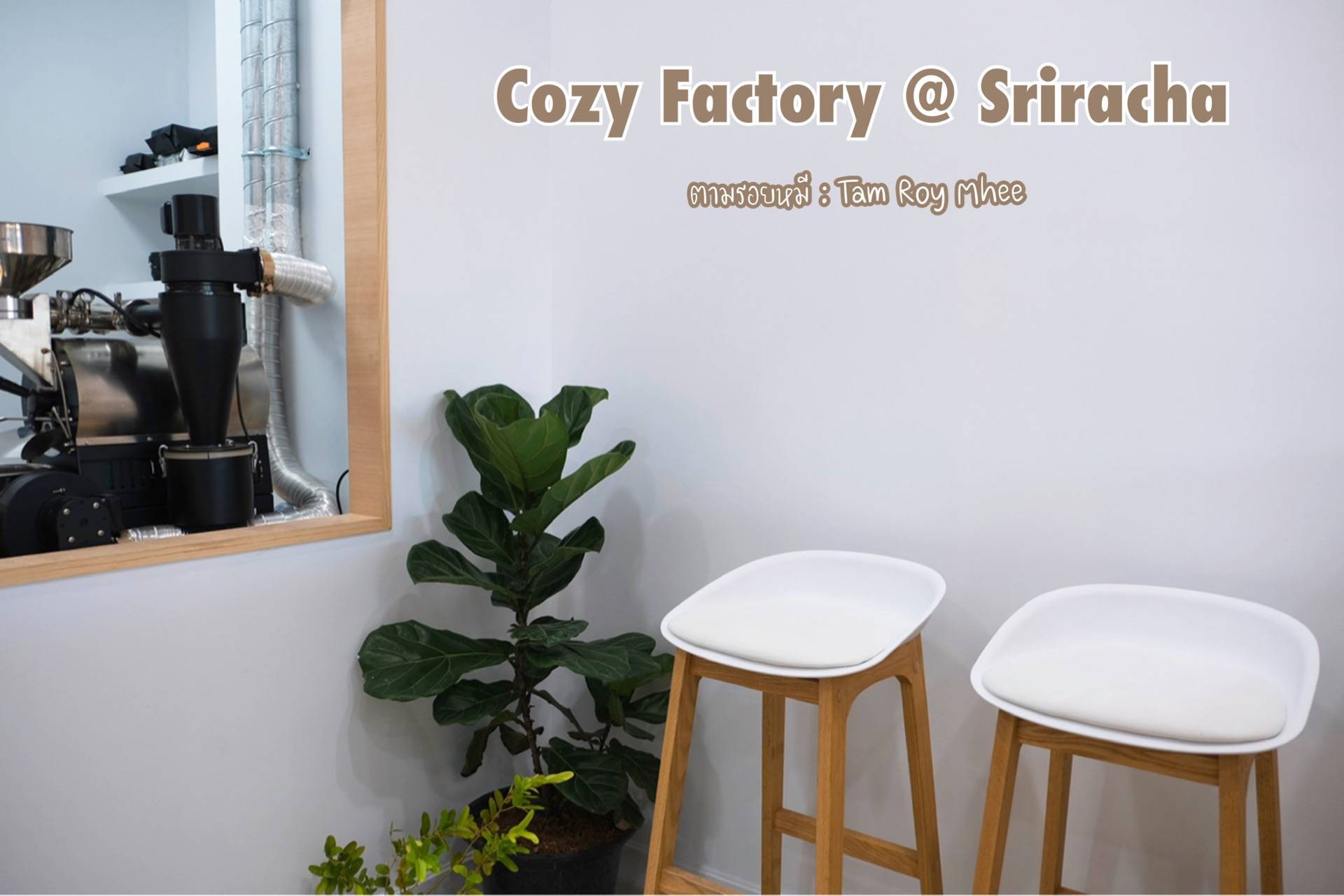 รูป Cozy Factory Coffee & Roaster สวนเสือศรีราชา