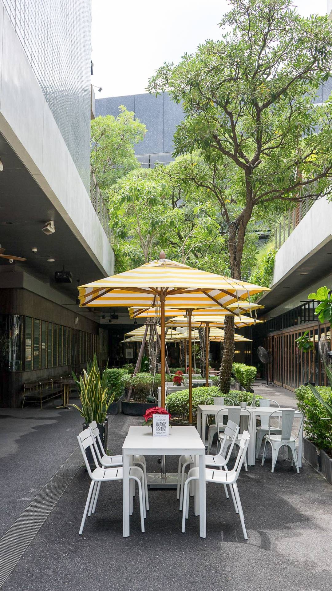 รีวิว 72 Courtyard - กลับมาเปิดในช่วงกลางวันแทน