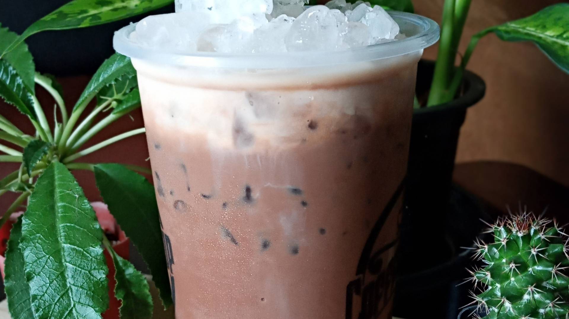 Moo Moo tea - สั่งอาหารเดลิเวอรี | Wongnai x LINE MAN