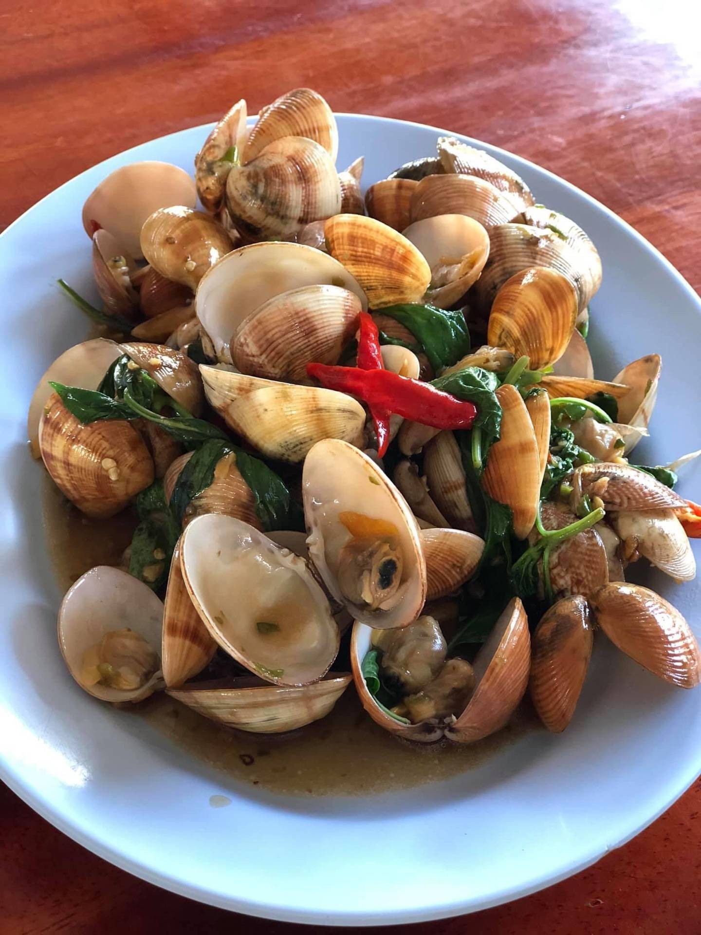 หอยตลับผัดใบโหระพา ร้าน เจ๊พรปักษ์ใต้ ซีฟู้ด หาดแม่รำพึง ระยอง - Wongnai