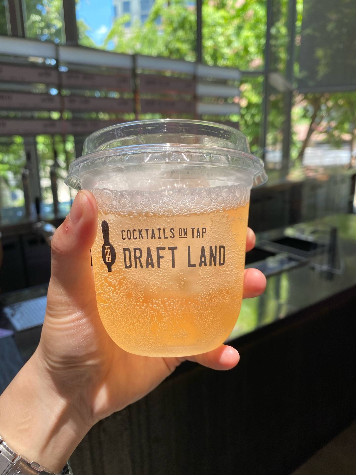 ร้าน Draft Land | รีวิวร้านอาหาร - Wongnai