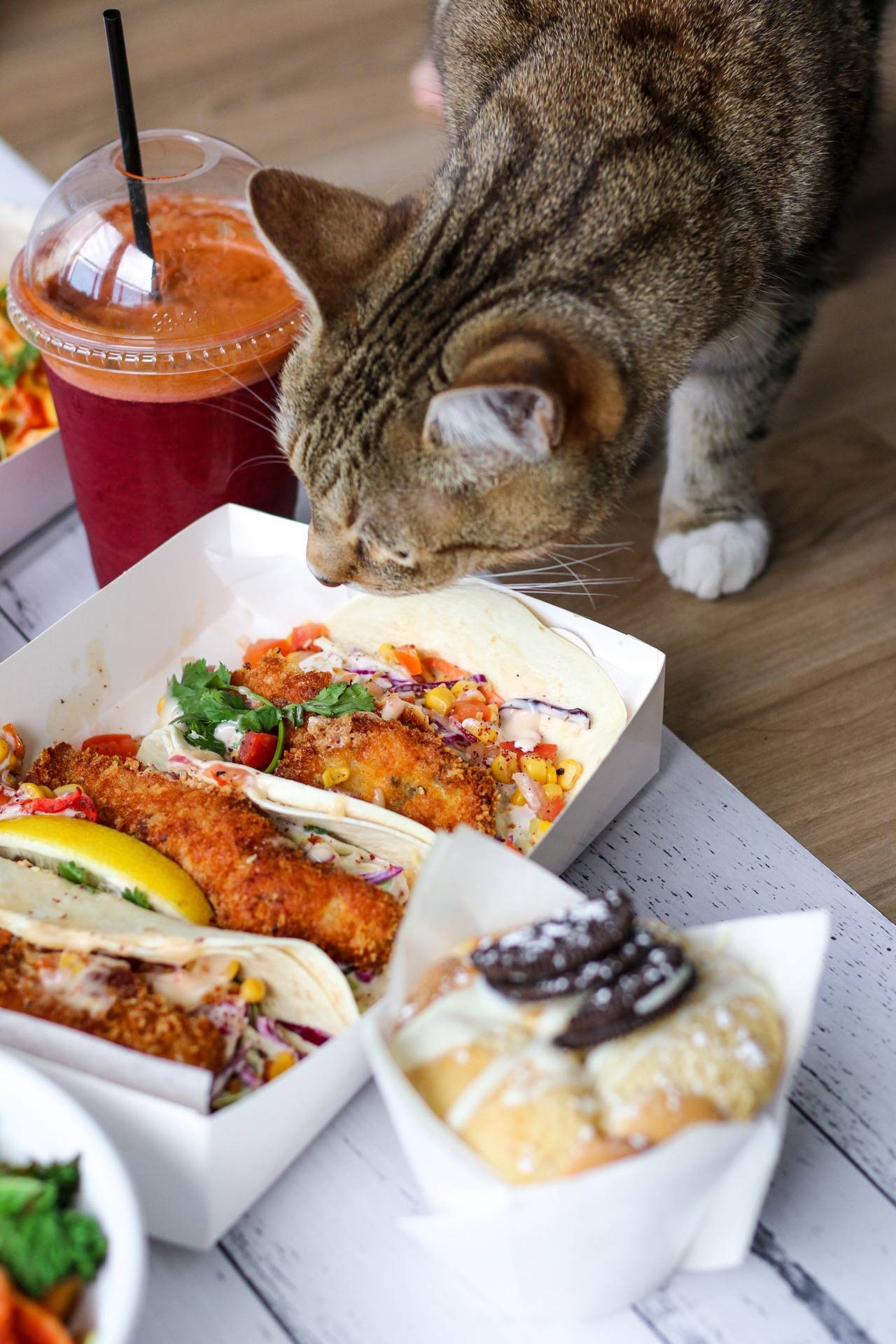 รีวิว Full Steam Cafe - Flavors were tasty, but chicken quite dry. Food ...