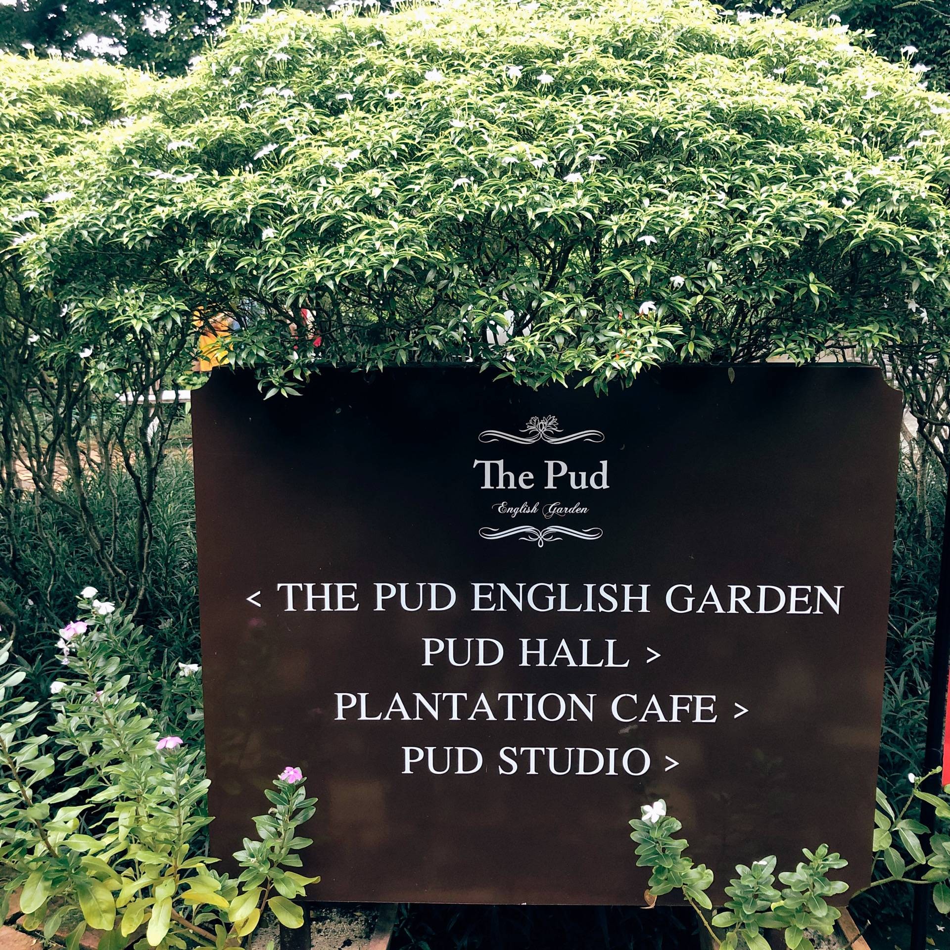 รีวิว Plantation Cafe - Plantation cafexRoastery