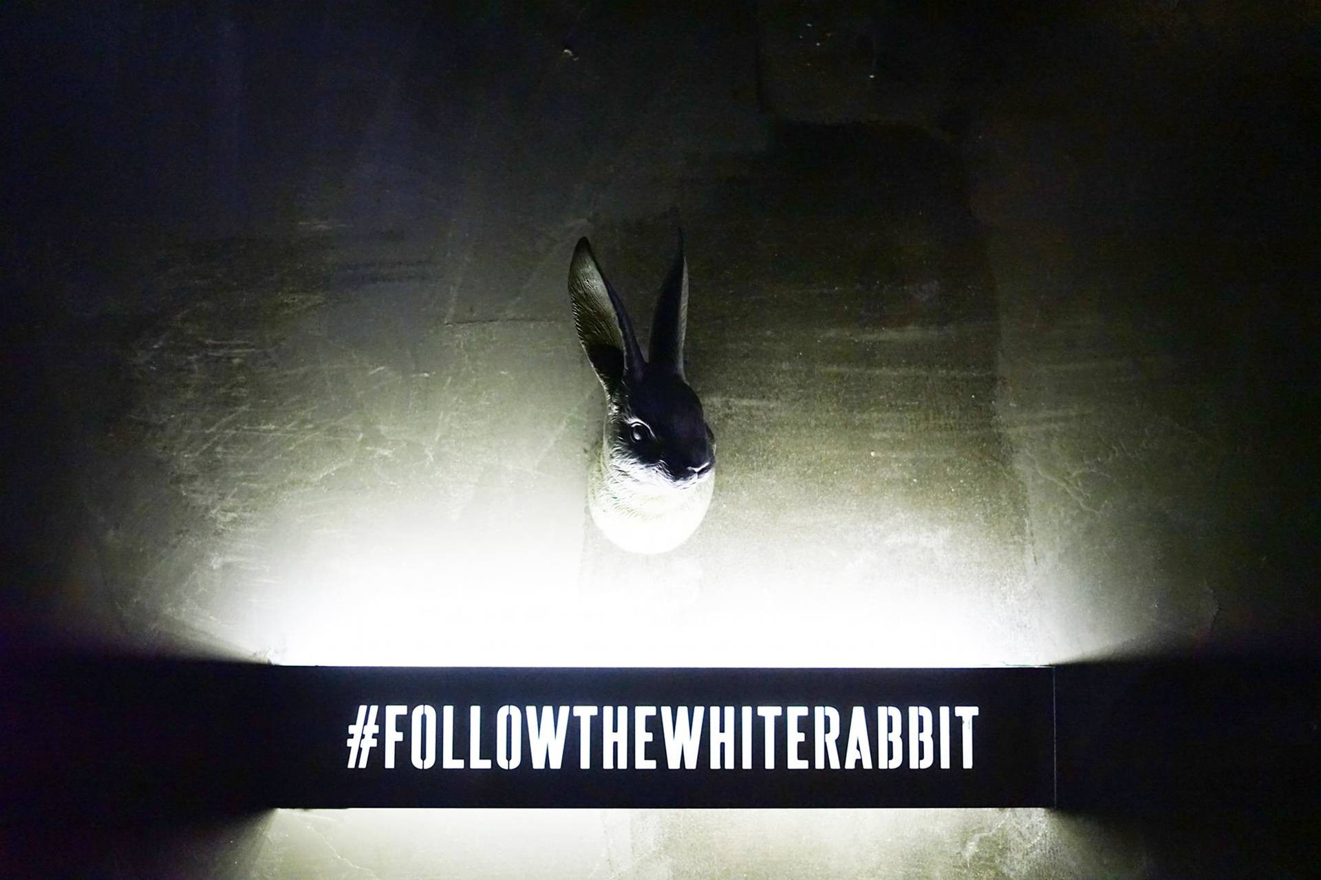 รีวิว The White Rabbit Speakeasy Cocktail Bar - บาร์ลับ ๆ ในแบบฉบับงง ๆ ...