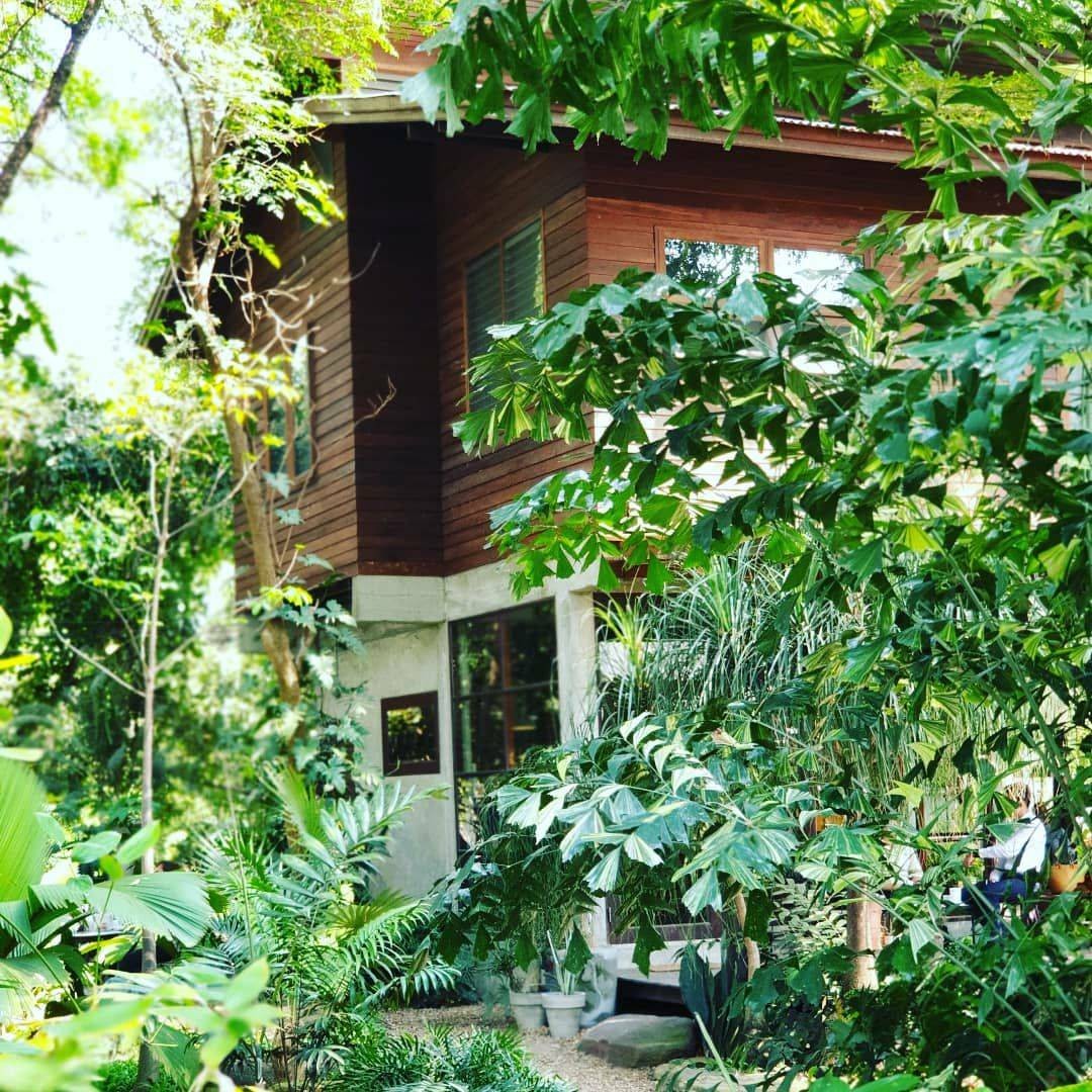 รีวิว 382 SPACE COFFEE & BAKERY - คาเฟ่ในสวน - Wongnai