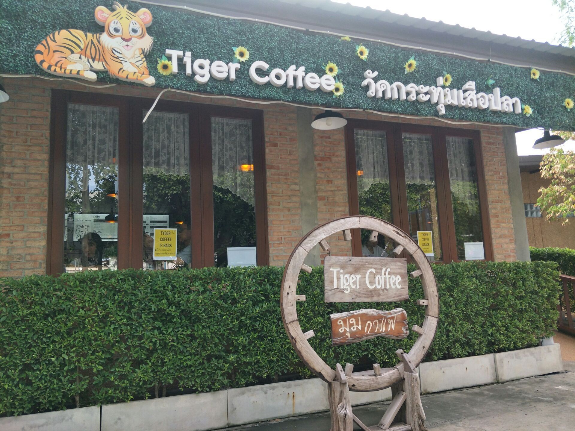 ร้าน Tiger Coffee วัดกระทุ่มเสือปลา - รีวิวร้านอาหาร - Wongnai