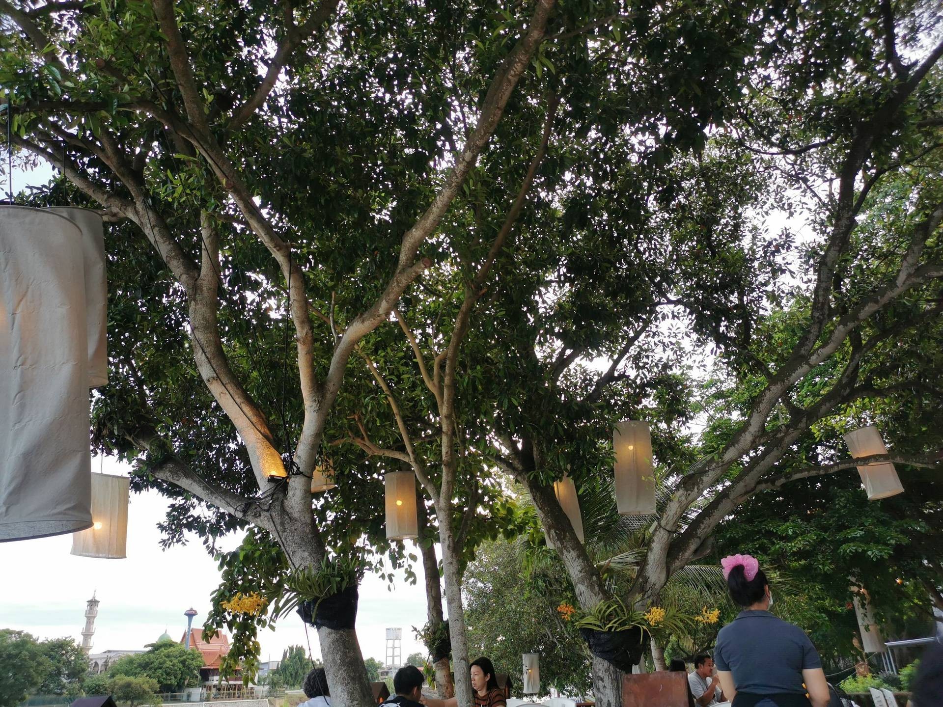 รูป De Riva Ayothaya