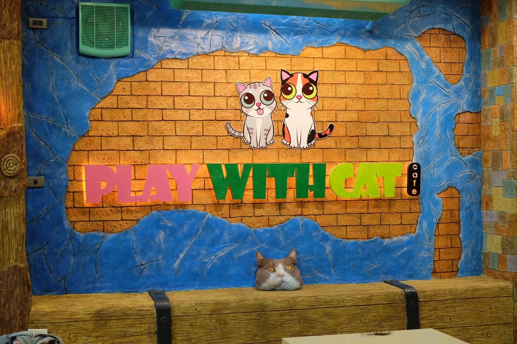 รูป Chill cat cafe - กาแฟสด เพชรเกษม110