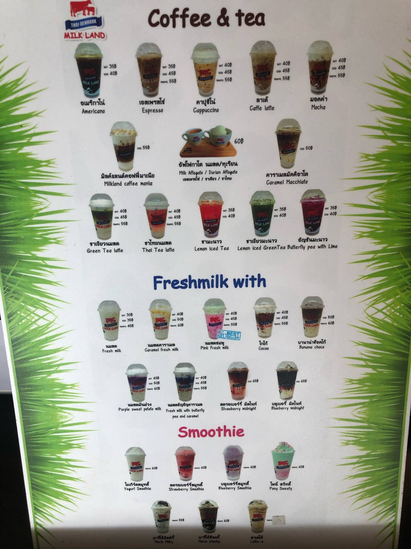 รีวิว Thai - Denmark MILK LAND มุกดาหาร - นมไทยเดนมาร์ค กาแฟออแกนิก ...