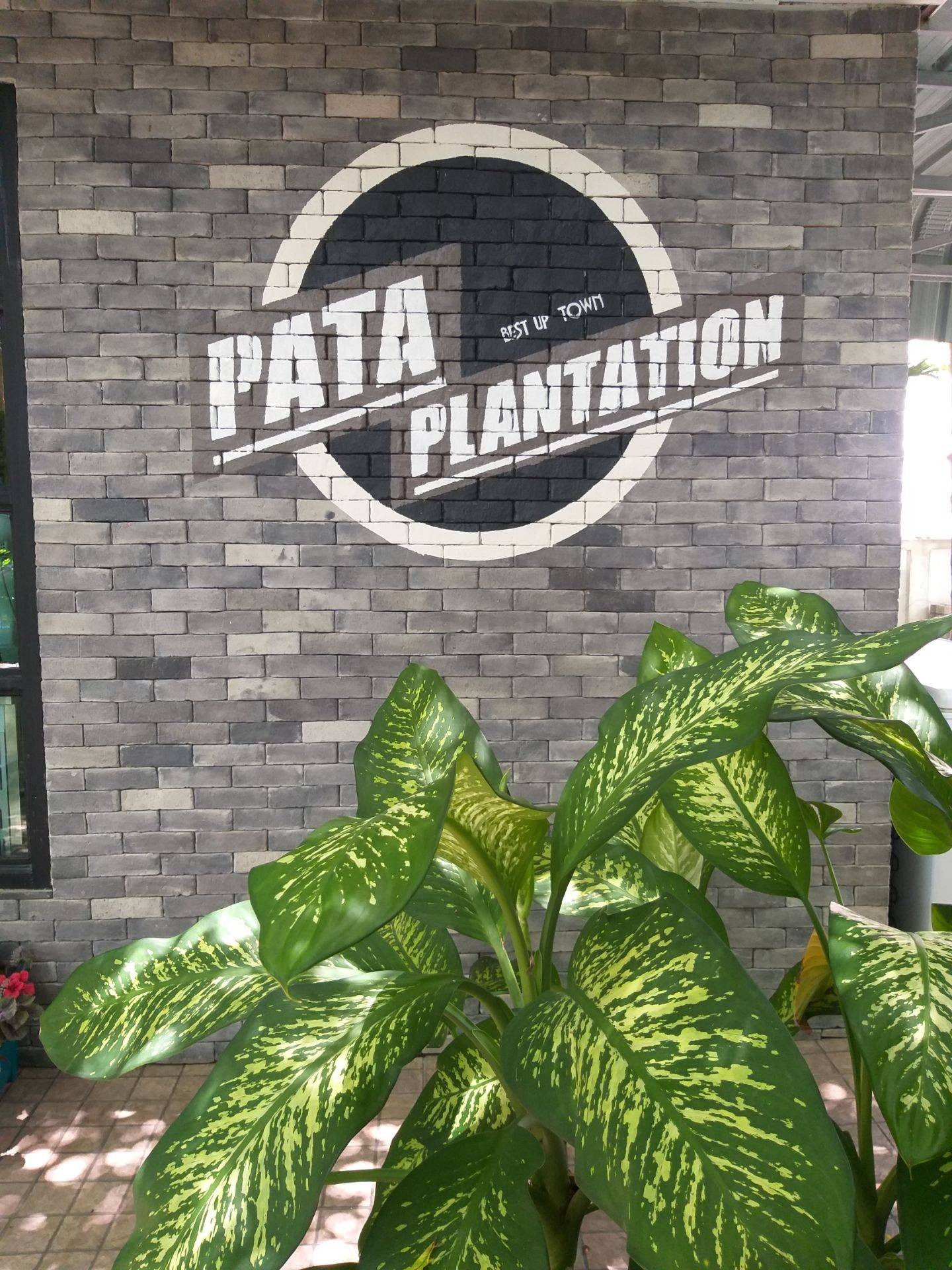 รีวิว PATA PLANTATION - ตกแต่งโต๊ะอาหารสวย อาหารอร่อย มาสายควรโทรจอง