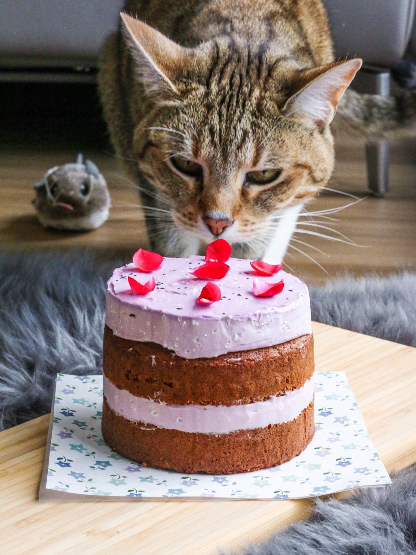 รีวิว Nama Bakeroom - Minimalistic taro cake—taro chunks inside the ...