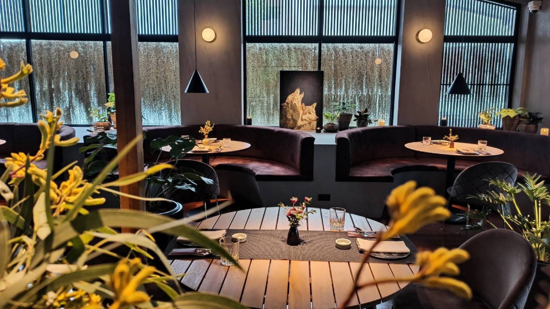 [รีวิว] ร้าน Wolf984 | เมนูแนะนำ รูปภาพ ราคา