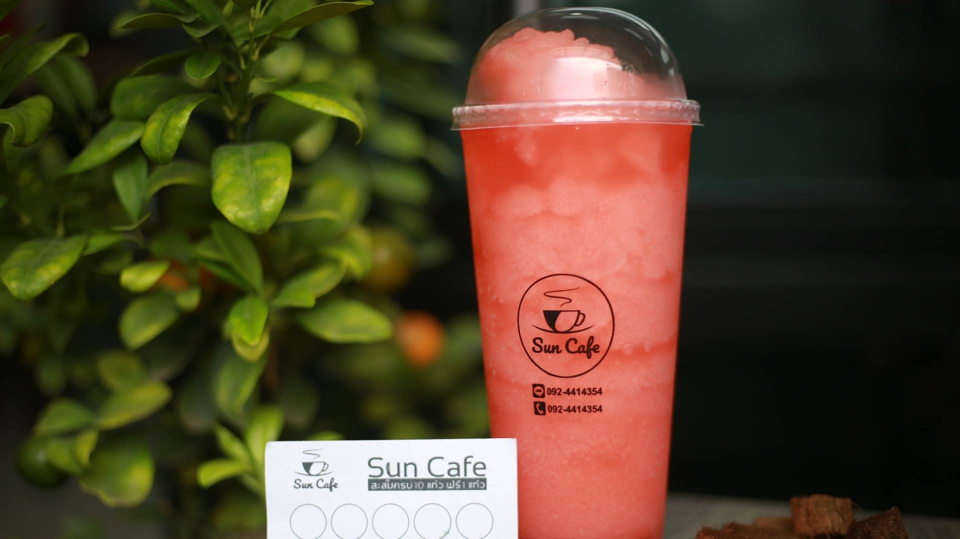 Sun Cafe - สั่งอาหารเดลิเวอรี | Wongnai x LINE MAN