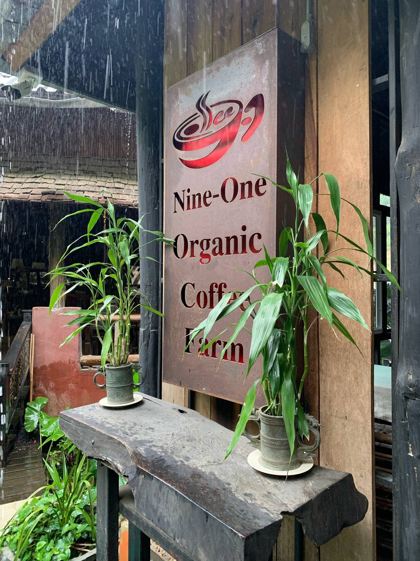 รูป Nine One Coffee Organic Farm ริมธารบ้านเมี่ยง - Wongnai