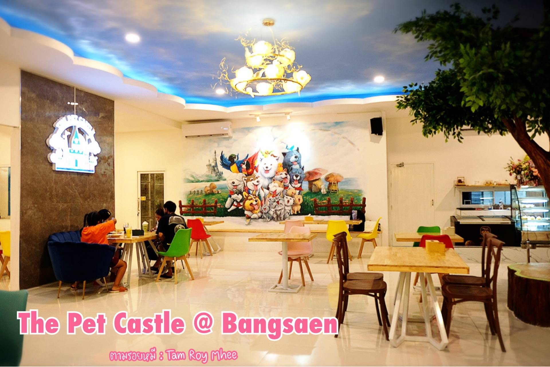 รูป The Pet Castle - Wongnai