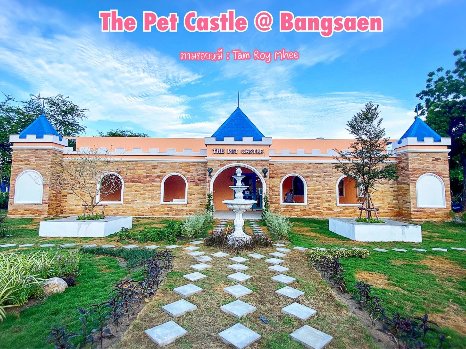 รีวิว The Pet Castle - คาเฟ่สัตว์เลี้ยงที่ใหญ่ที่สุดในชลบุรี