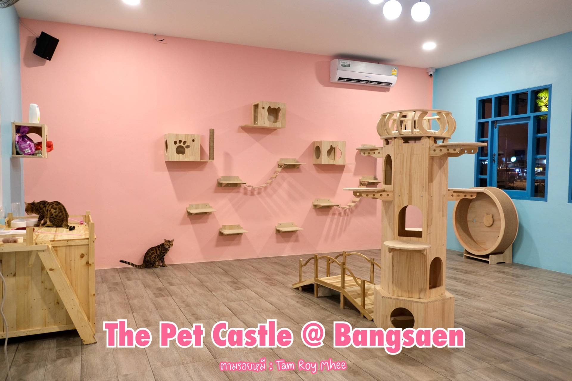รูป The Pet Castle - Wongnai