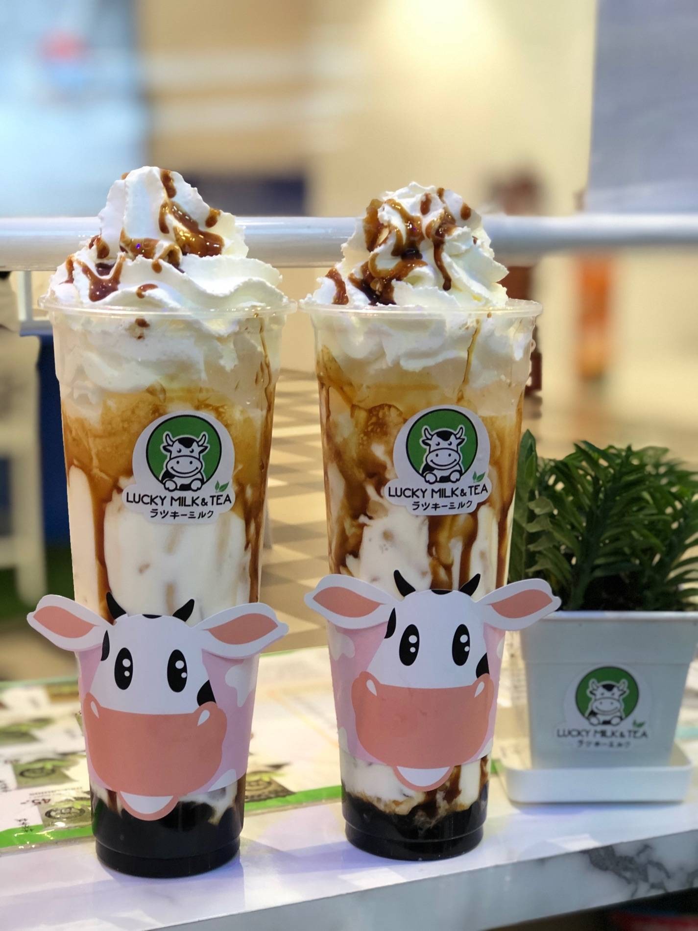 ร้าน Lucky Milk - | รีวิวร้านอาหาร