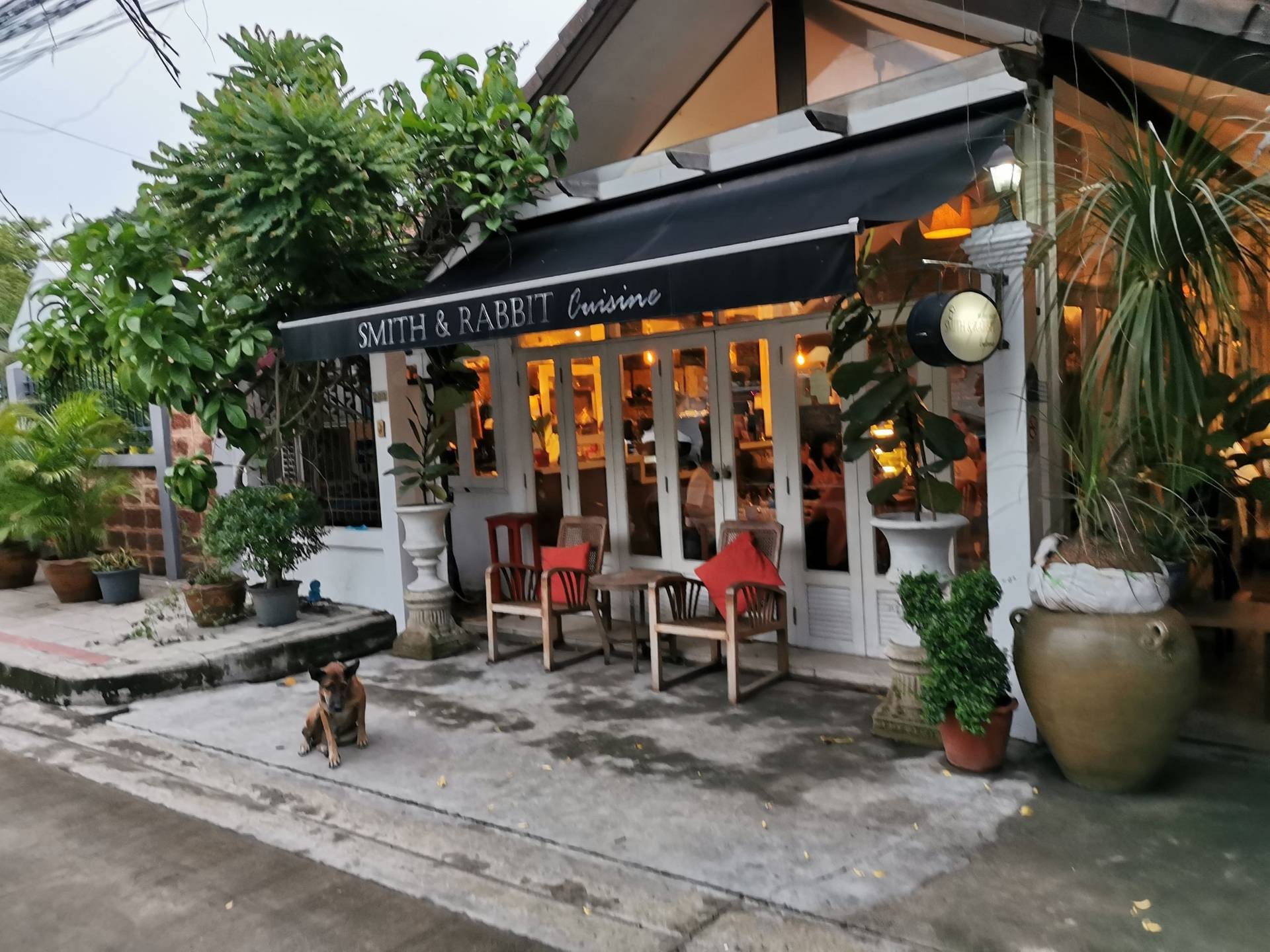 รีวิว Smith & Rabbit - ร้านใกล้บ้าน คับด้วยคุณภาพ - Wongnai