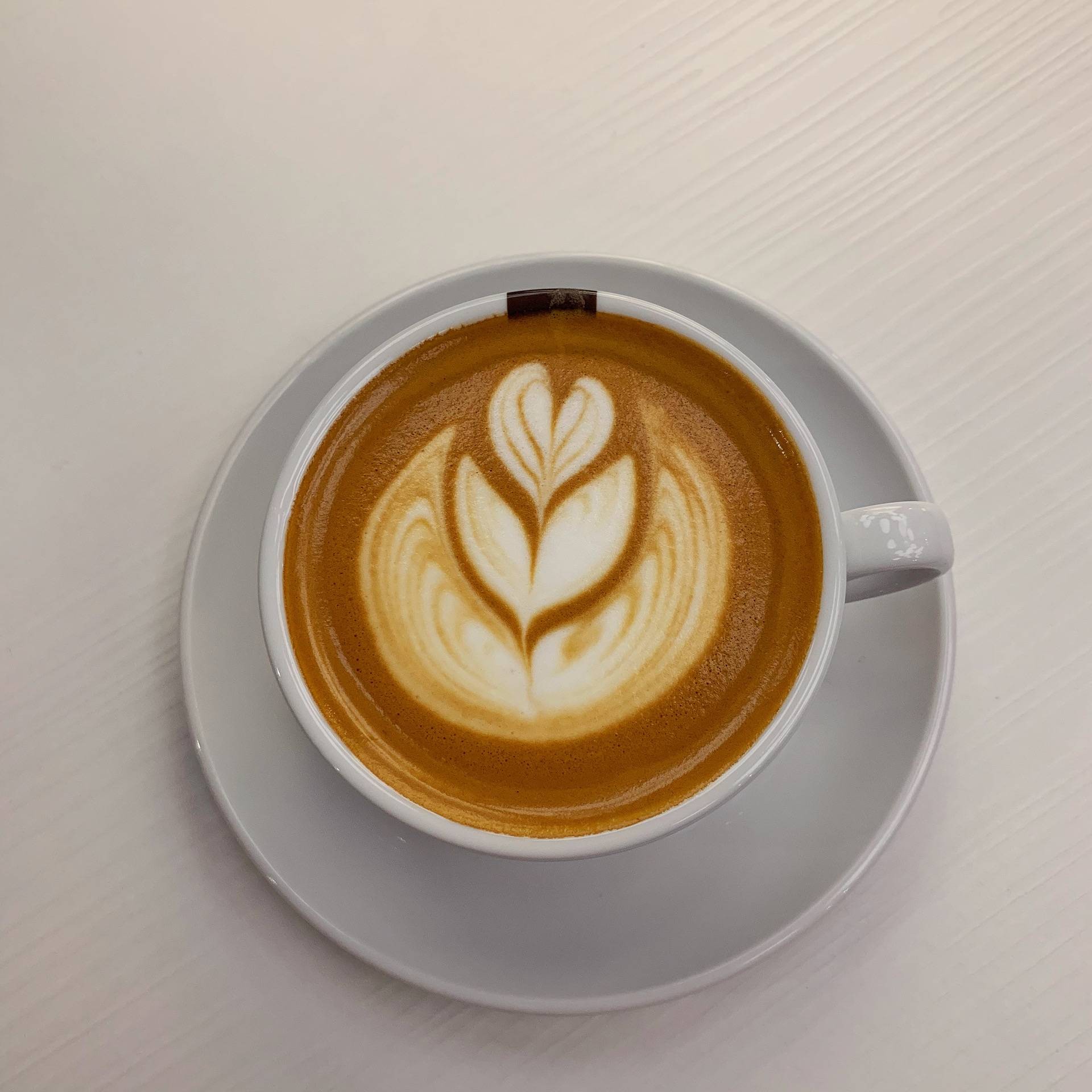 รีวิว ไล-บรา-รี่ dadfa market park ดาดฟ้า ลาซาล - ร้านนี้ไม่เหมือนใคร