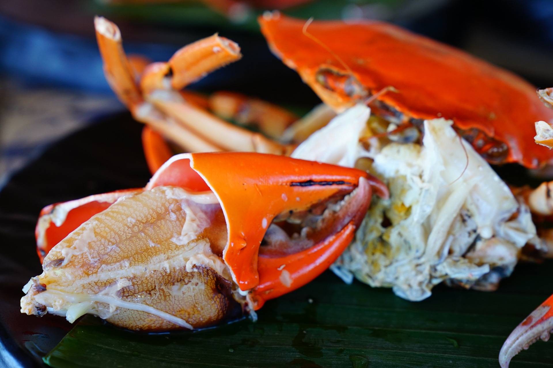 รีวิว Moken Moken 126 - วิวดี ลมดี อาหารสด แต่อาหารรสอ่อนไปนิด บริการ ...