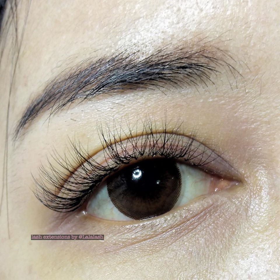 ดีลส่วนลดพิเศษร้าน Lalalash สาทร ดีลบิวตี้ ต่อขนตา Volume 350/700 เส้น ...