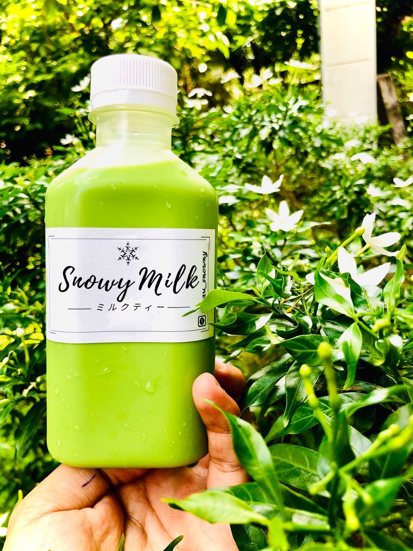 ร้าน Snowy milk | รีวิวร้านอาหาร