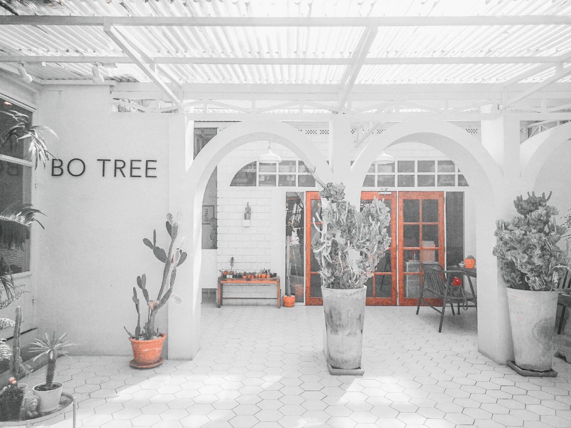 รีวิว Bo Tree Cafe & Bistro - คาเฟ่สไตส์บ้าน | ร้านสงบ | มินิมอล |มุม ...