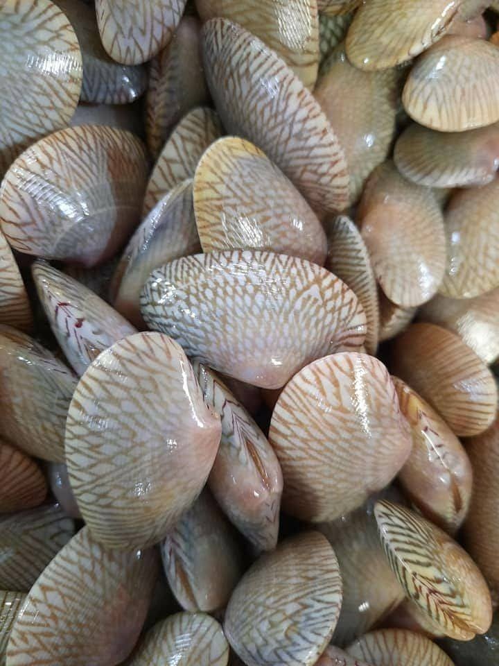 ร้าน Laila seafood | รีวิวร้านอาหาร - Wongnai