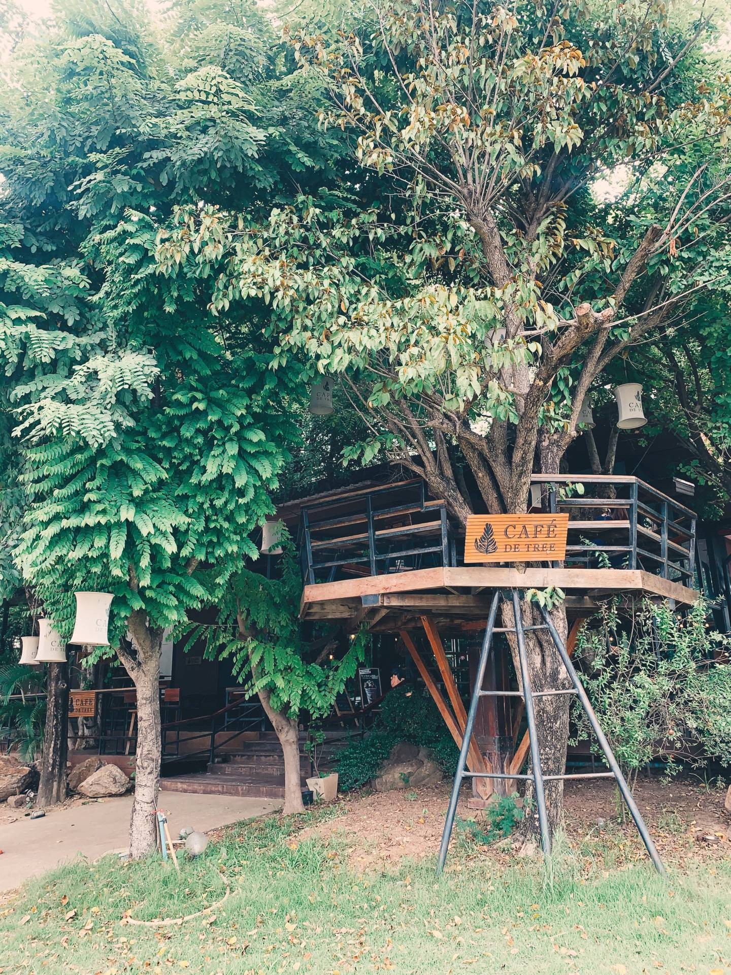 รูป Cafe De Tree