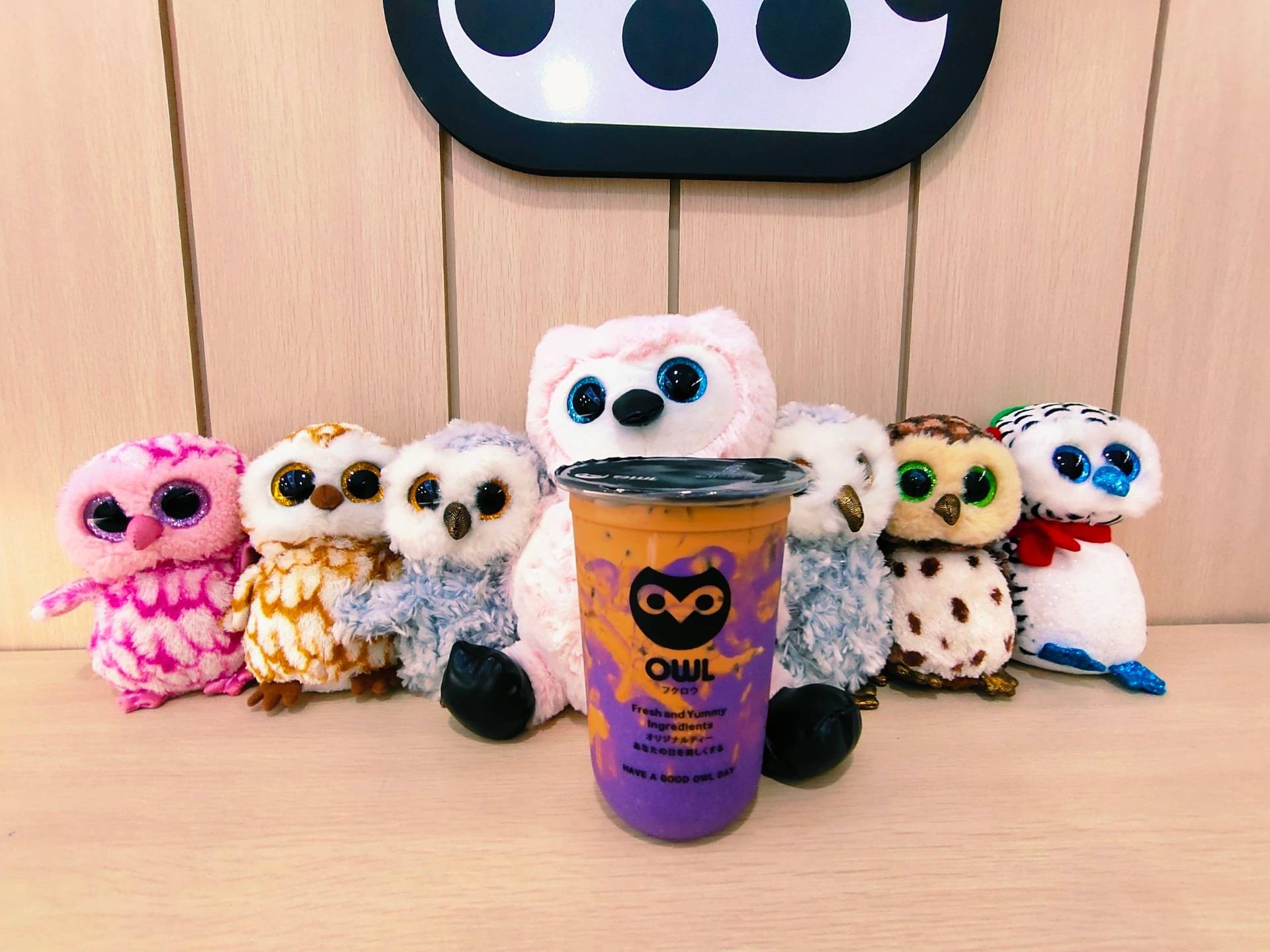 owl cha ตัวเมืองนครนายก - สั่งอาหารเดลิเวอรี | Wongnai x LINE MAN