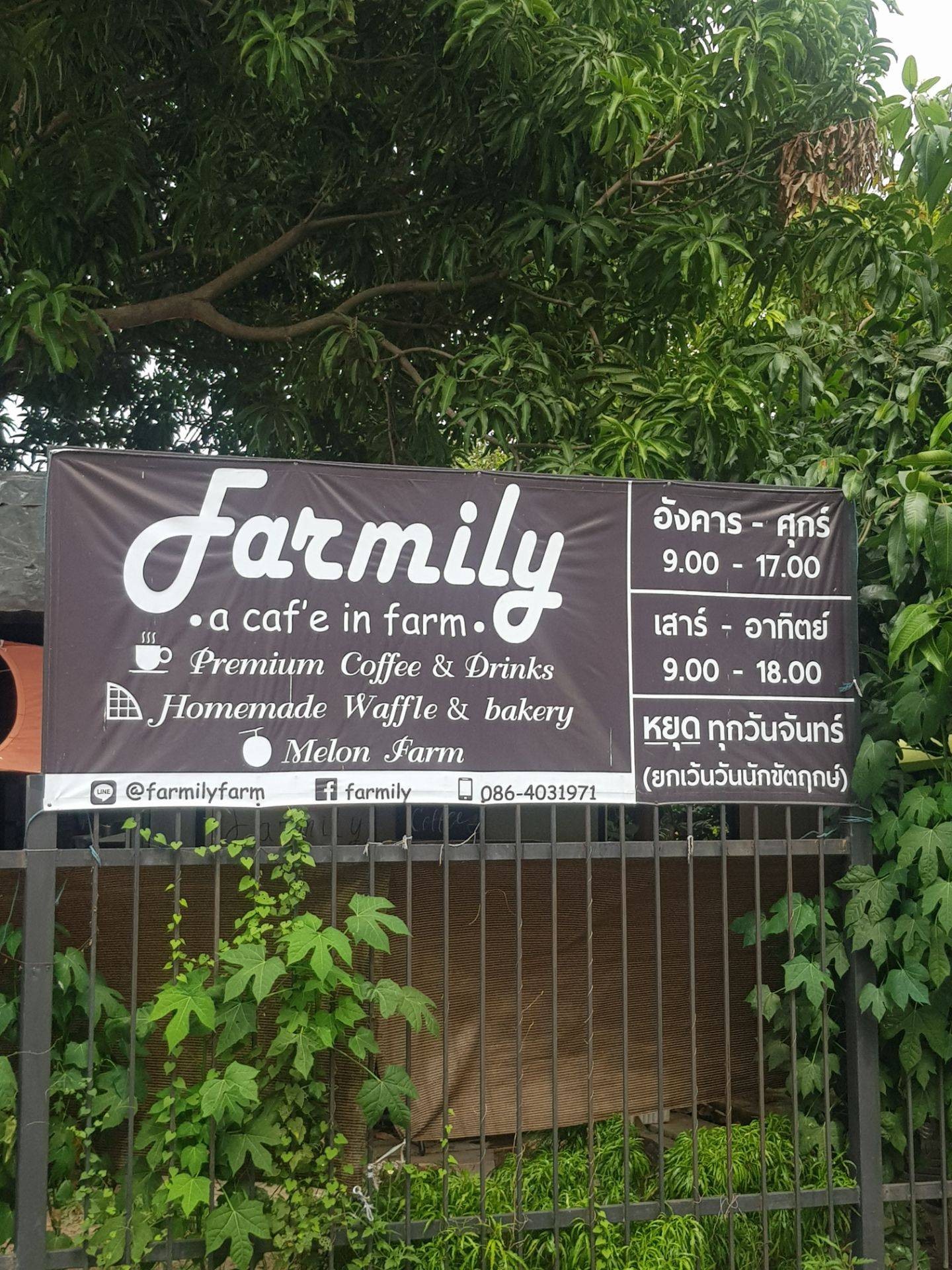 รีวิว Farmily a cafe in farm (กาแฟpremium ขนมเค้ก อาหารอร่อย ได้คุณภาพ) - ร้านคาเฟ่ ในสวนเขียว ...