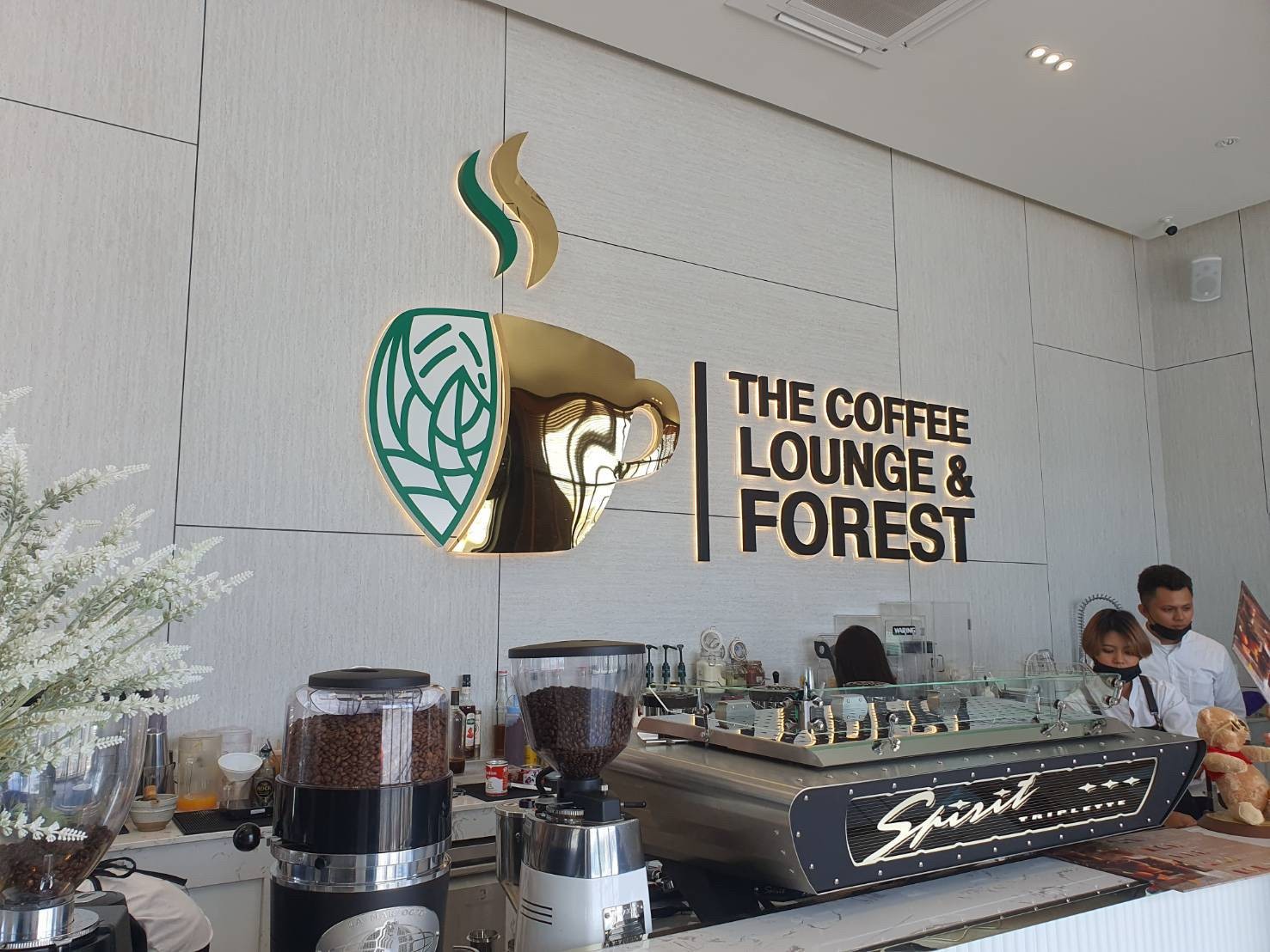 รีวิว The Coffee Lounge And Forest - Cafe เปิดใหม่ ตกแต่งสไตล์ป่าๆ ...