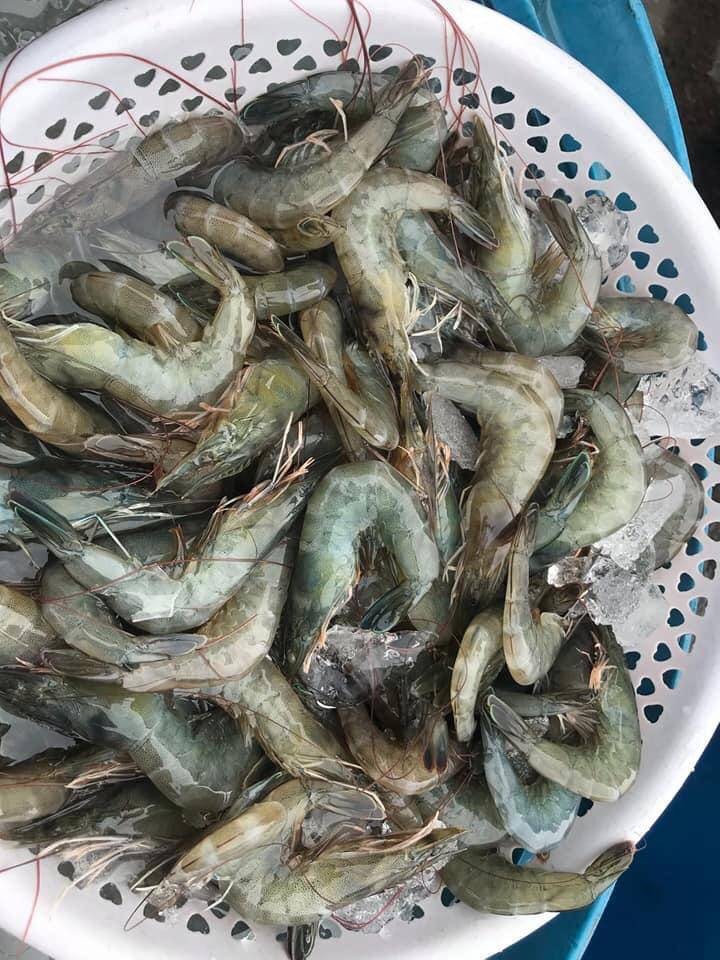 ร้าน 🌈อาหารตามสั่ง รสเด็ด MUKDA 🥳 ซ.จิ๊บดำหริ์ | รีวิวร้านอาหาร