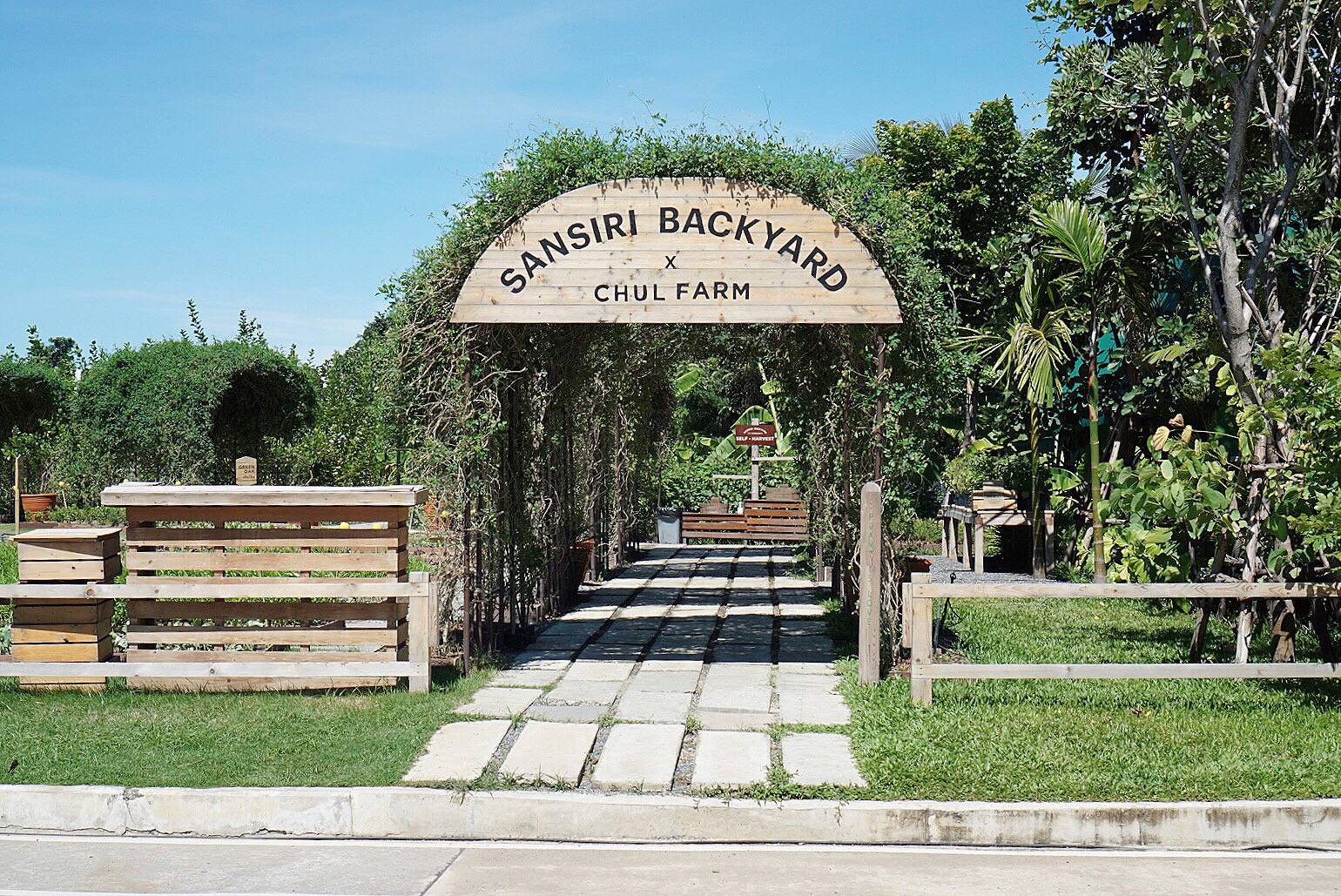 รูป My Backyard Farm & Bistro My Backyard Farm & Bistro - Wongnai